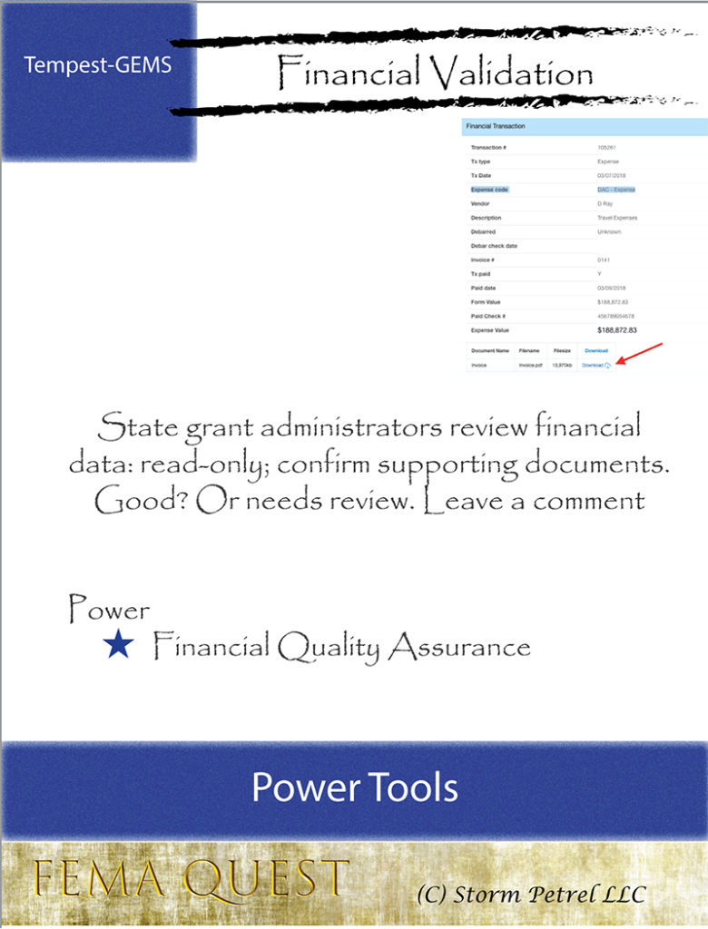 The Role of States in the FEMA Grant Process - Storm Petrel LLC
